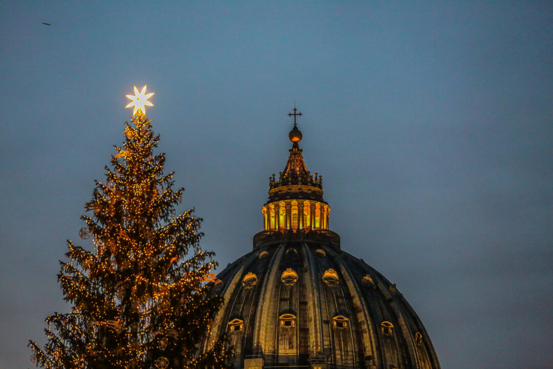 Quién introdujo el pagano “árbol de navidad” y su significado ...